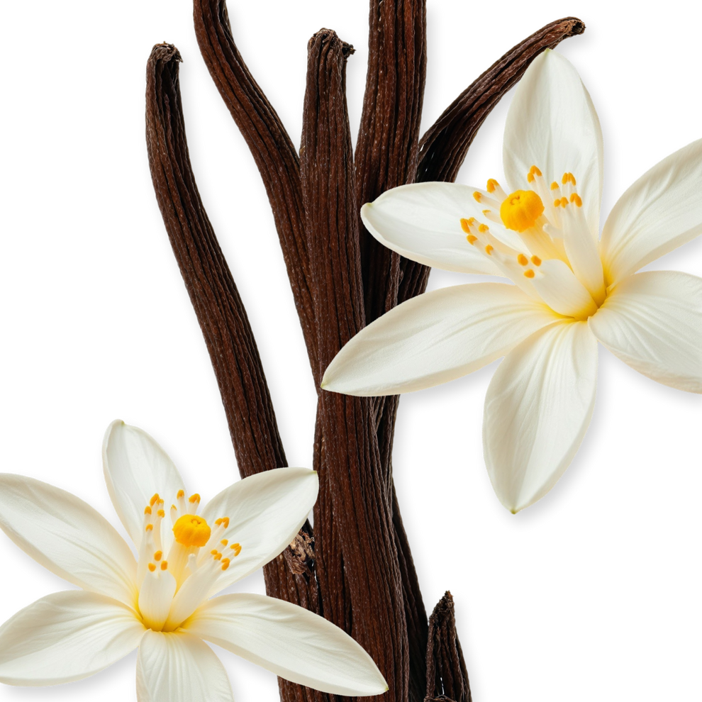 Althaïr Eau de Parfum (75 ml, 125 ml) – Parfums de Marly Offizielle Website