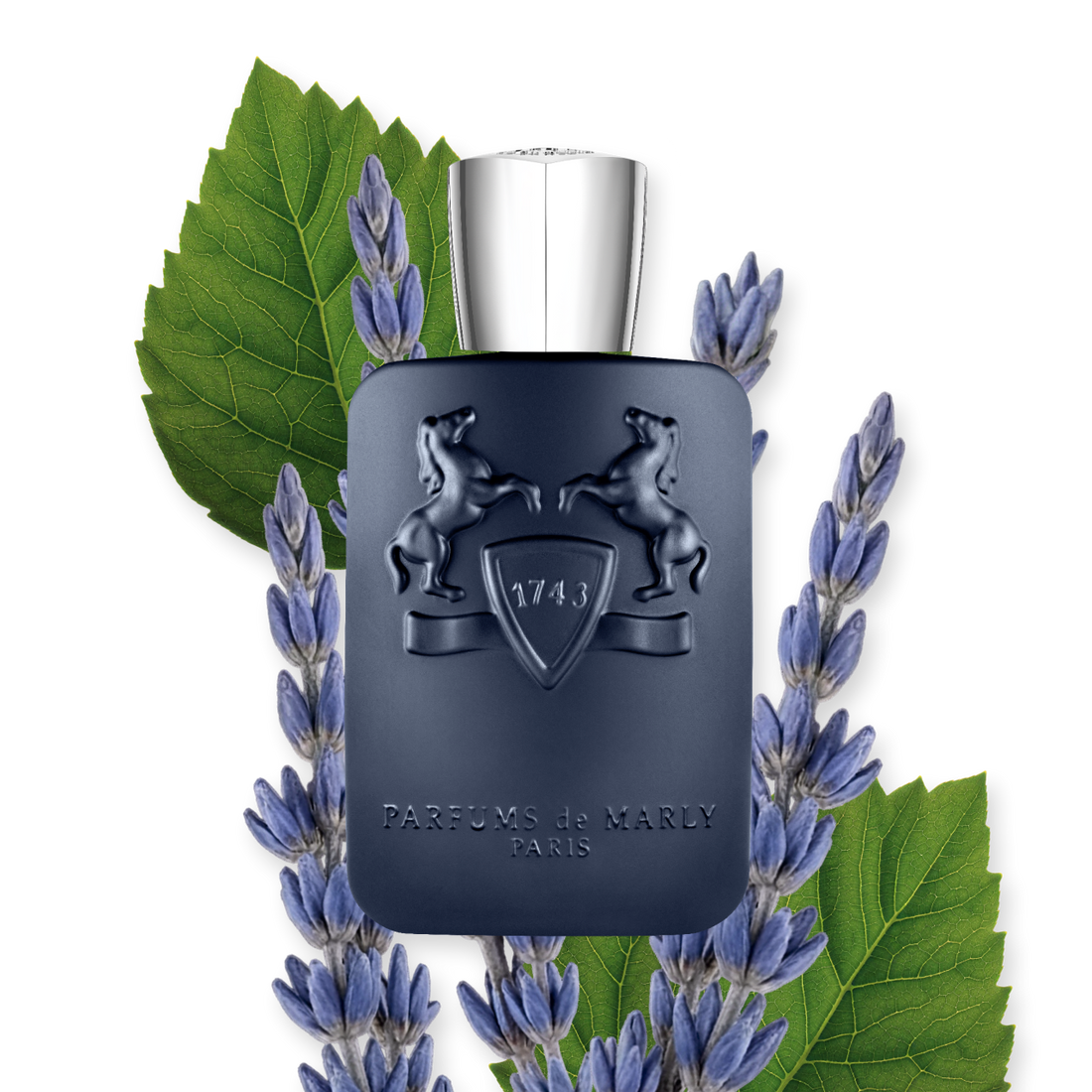 Eau de Parfum Layton | Site Officiel Parfums de Marly