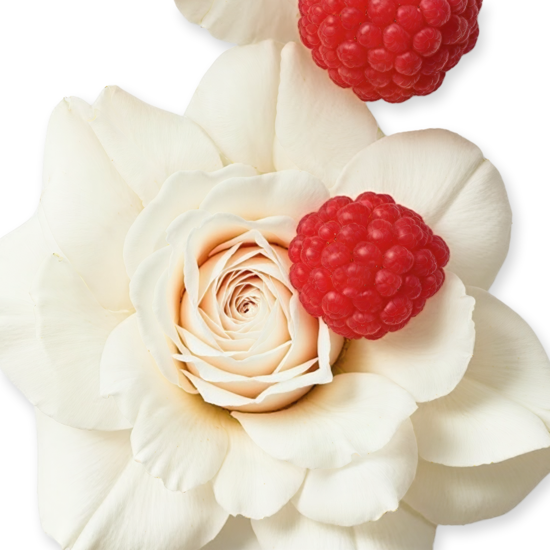 Meliora Eau de Parfum (75ml) - Parfums de Marly Official Website