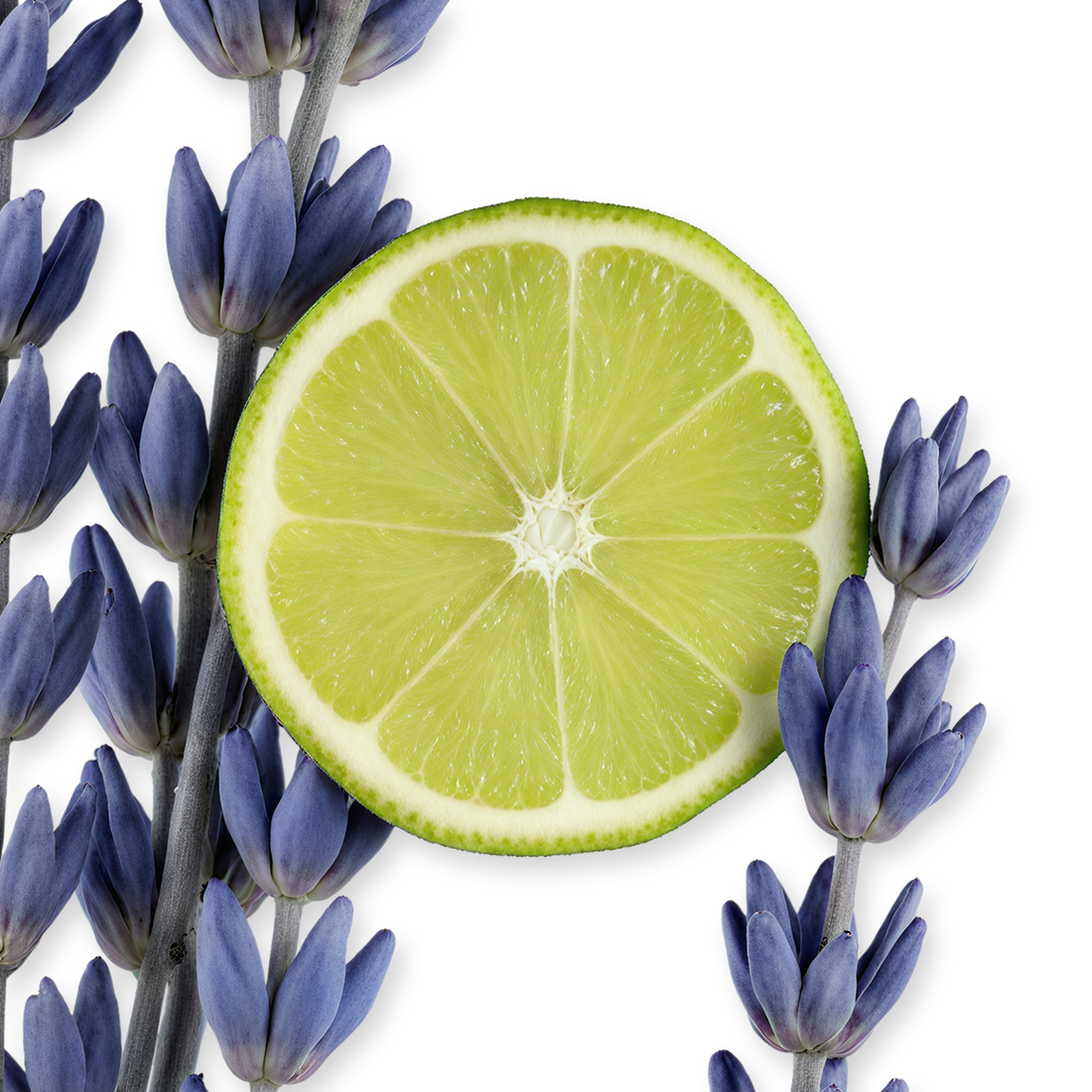 Percival Eau de Parfum (75ml, 125ml, 200ml) – Parfums de Marly Official ...